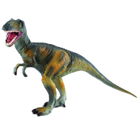 Neovenator Collecta