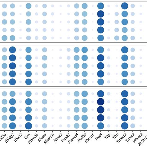 Profile Of Reference Gene Expression Time In The Developing Lung By