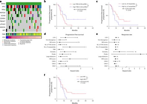 Genomic Characterization Of Patients A Oncoplot Representing Genomic