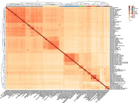 Pairwise Eqtl Similarity Between 95 Datasets Estimated With Spearman Download Scientific