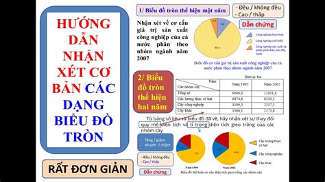 Hướng Dẫn Cách Nhận Xét Và Giải Thích Biểu đồ Cột Chi Tiết