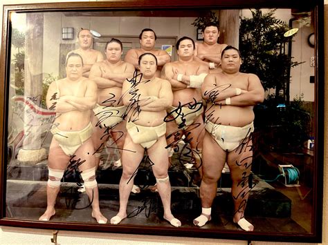 山科隆太（元 豊響） On Twitter 若い！ 境川部屋 岩木山 寶智山 豪栄道 豊響 妙義龍 佐田の海 佐田の富士