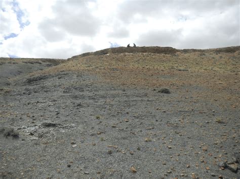 Ancient Pollen Grains Acting Like Sunscreen May Have Contributed To