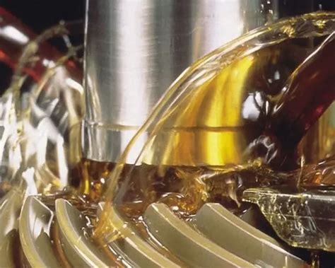 Oli E Grassi Nodus X