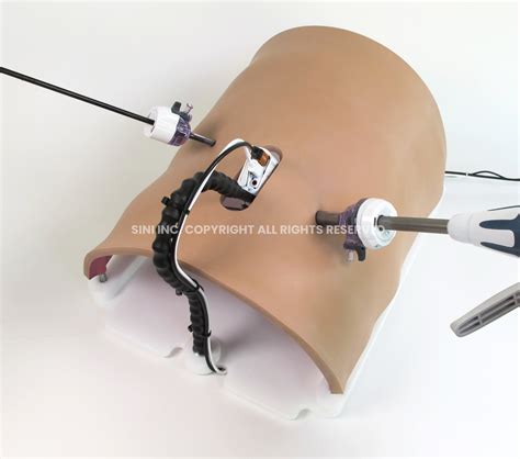Laparoscopic Body Type Trainer Sini Medical Simulation