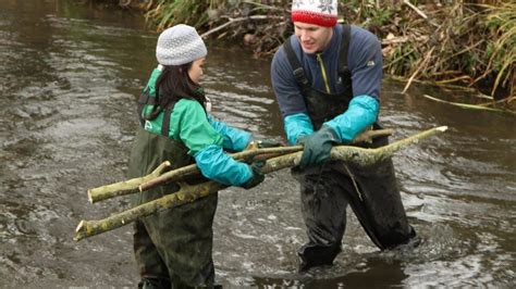 Discover Chalk Streams Chalk Streams