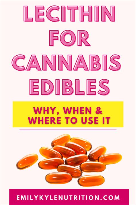 Lecithin For Cannabis Edibles Why When Where To Use It Artofit