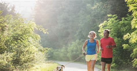 녹색 햇살이 내리쬐는 자연에서 밖에서 달리는 개와 함께 활동적인 노부부 사진 Unsplash의 조깅 이미지