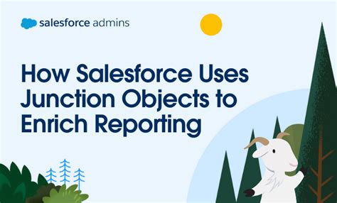 How Salesforce Uses Junction Objects To Enrich Reporting Salesforce