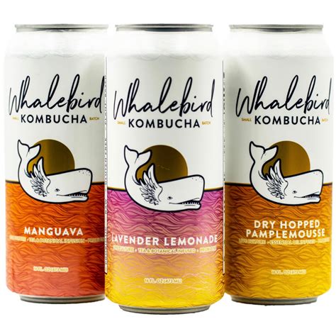 Wholesale Whalebird Kombucha