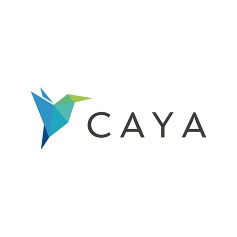 CAYA | Startupnight