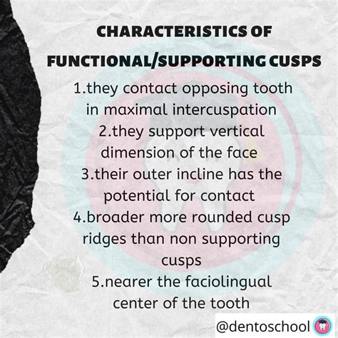 Dentoschool Functional Cusps Vs Non Functional Cusps
