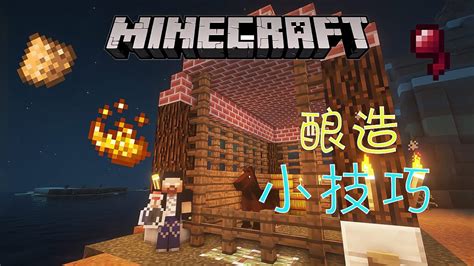 我的世界：我的世界酿药小知识，教你怎么炼药。【魔王him】 Youtube