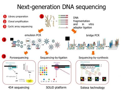 Next Generation Sequence Analysis Batterykesil