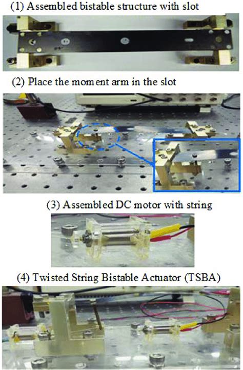 Assembly Of The Individual Components To Form The Twisted String Download Scientific Diagram