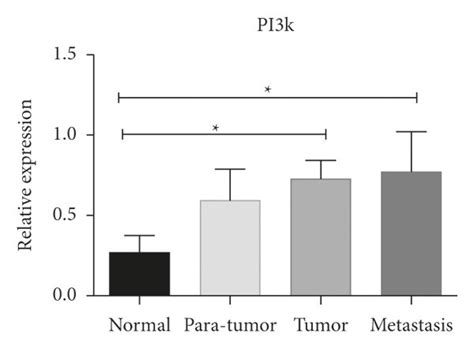 Western Blotting To Verify The Expression Levels Of Ccl3 Ccr5 And The