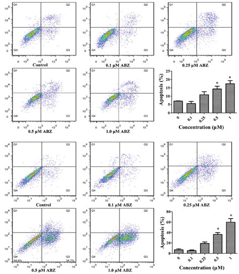 Cell Apoptosis Was Detected In SGC 7901 Cells Cells Were Incubated
