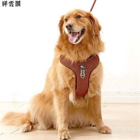 【中大型犬專用】狗狗牽引繩大狗背心式胸背帶金毛拉布拉多中大型犬狗鏈子遛狗繩 胸背帶 狗背帶防暴衝胸背帶 蝦皮購物
