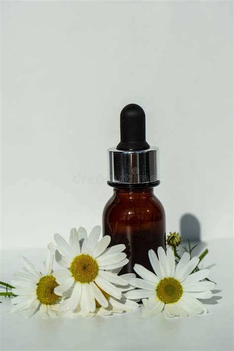 Essential Oil In A Glass Bottle With Fresh Chamomile Flowers Cosmetic