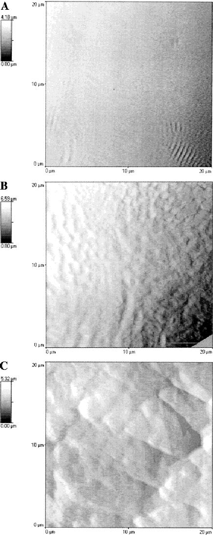 Surface Topologies Of Polylactic Acid Microspheres Containing A 0 Download Scientific Diagram