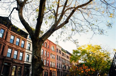Supporting Black Owned Businesses In Gentrifying Neighborhoods