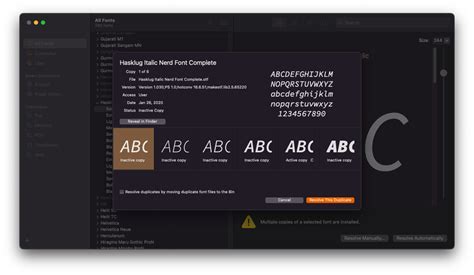 Macos Issues Multiple Copies Of This Font Are Installed Warning For