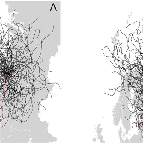 example of the correlated random walk simulations of geomagnetic