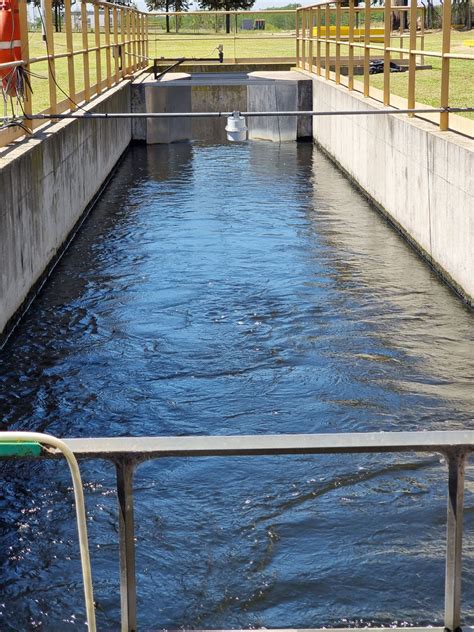 Thomas Anselmi Posted On Linkedin