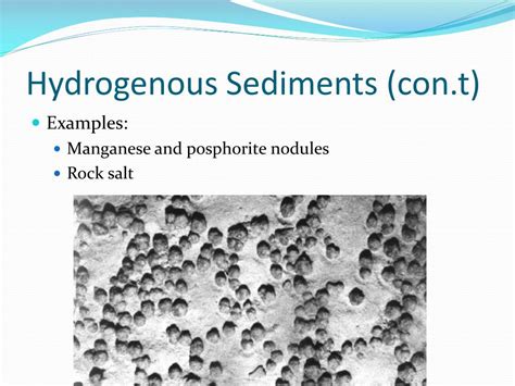 Ppt Sediments Powerpoint Presentation Free Download Id 1898469