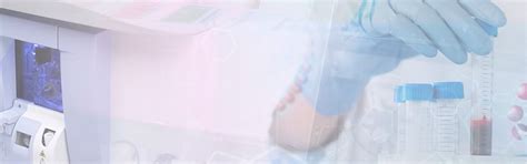 Bx46 Upright Microscope Bionuclear Puerto Rico