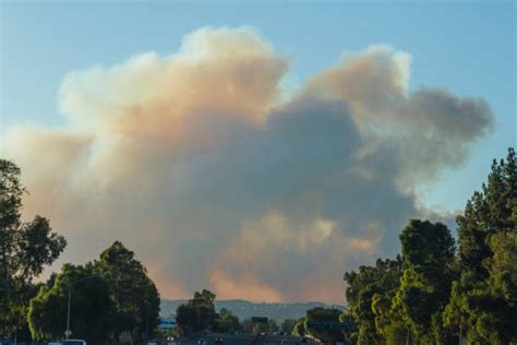 350개 이상의 Woolsey Fire 스톡 사진 그림 및 Royalty Free 이미지 Istock