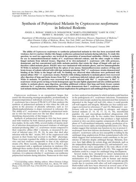 Pdf Synthesis Of Polymerized Melanin By Cryptococcus Neoformans In