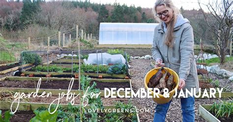 Winter Gardening Jobs For The Vegetable Garden • Lovely Greens