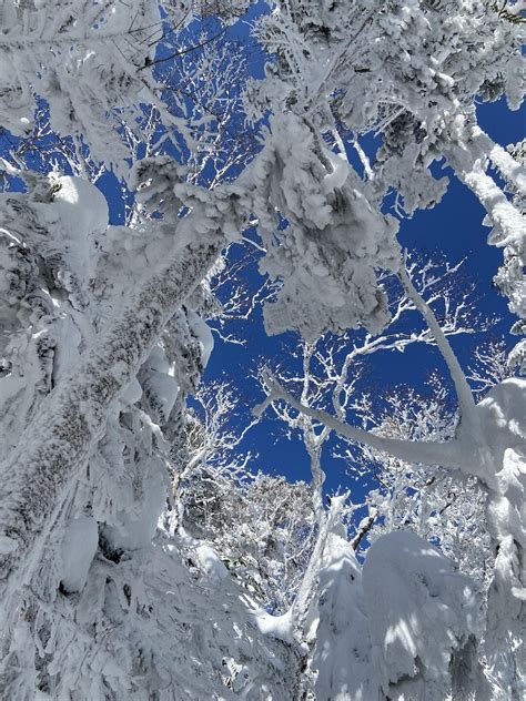 箕冠山・根石岳・東天狗岳・天狗岳（西天狗岳） まさおさんの八ヶ岳（赤岳・硫黄岳・天狗岳）の活動データ Yamap ヤマップ