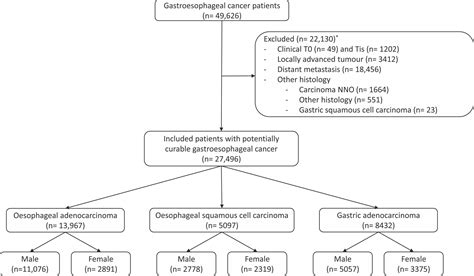 Sex Differences In Treatment Allocation And Survival Of Potentially