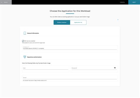 Interactive Own Docker AMD Accelerator Cloud Help