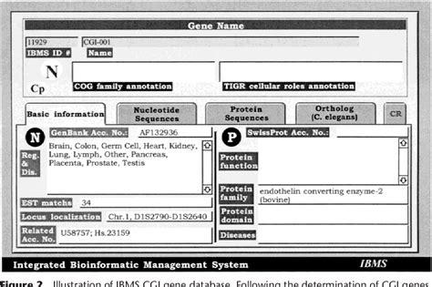 Figure 1 From Identification Of Novel Human Genes Evolutionarily