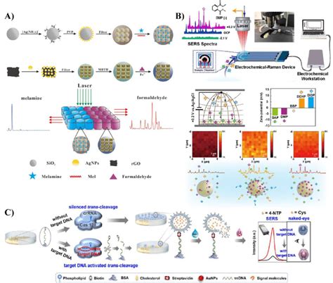 Sers Based On Site Detection Of Additives A Detection Of Melamine And Download Scientific