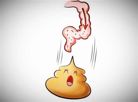 日常生活中出现便秘怎么办如何快速排便？ 知乎