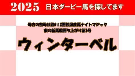 2025年日本ダービー馬を探してます 1 東の新馬戦勝ち上がり第1号のウィンターベルを注目馬として取り上げました。母方の祖母は独gⅠ2勝独国