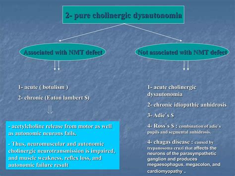 Autonomic Nervous System Dysautonomia Pptx