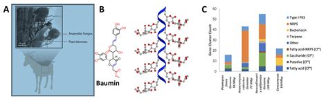 Engineering Bio Based Monomers For Materials From Unusual Microbes