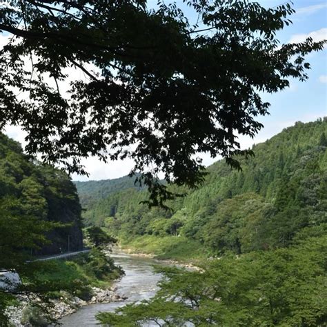 森岡 章 Official すこし時間が空いてしまってすいません🙇🏻‍♂️ 森岡章作曲 小川のほとりにて 森岡章 小川のほとりにて 箏曲 邦楽 Instagram