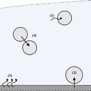 Fluid Computation Cell And Corresponding Particles For Calculating