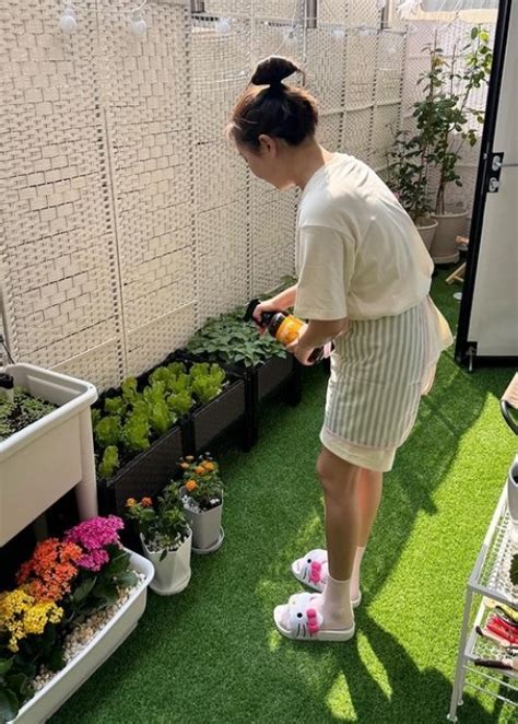 인`스타`그램 세상 송가인 요즘 ‘이것에 푹 빠져 “중요한 건” Zum 뉴스