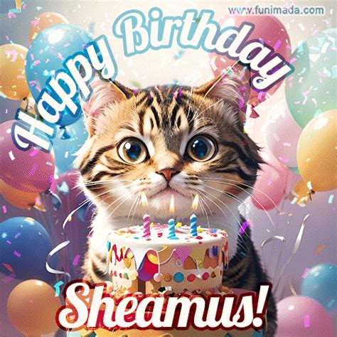 Cat Themed Happy Birthday Sheamus  Download On