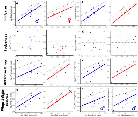Figure S2 Scaling Relationships Between Various Morphological Traits