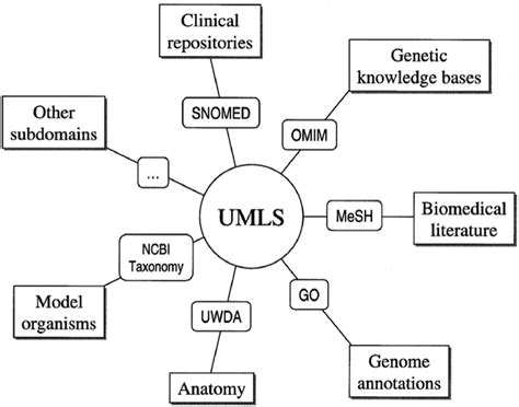 The Various Subdomains Integrated In The Umls Terminology Image