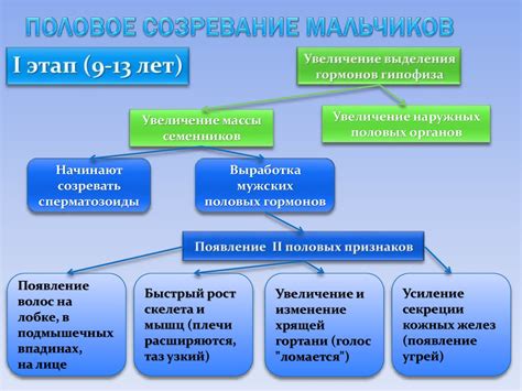 Особенности полового развития детей презентация онлайн