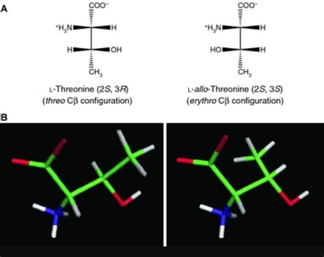 D Threonine Vs L Threonine Chemicalbook